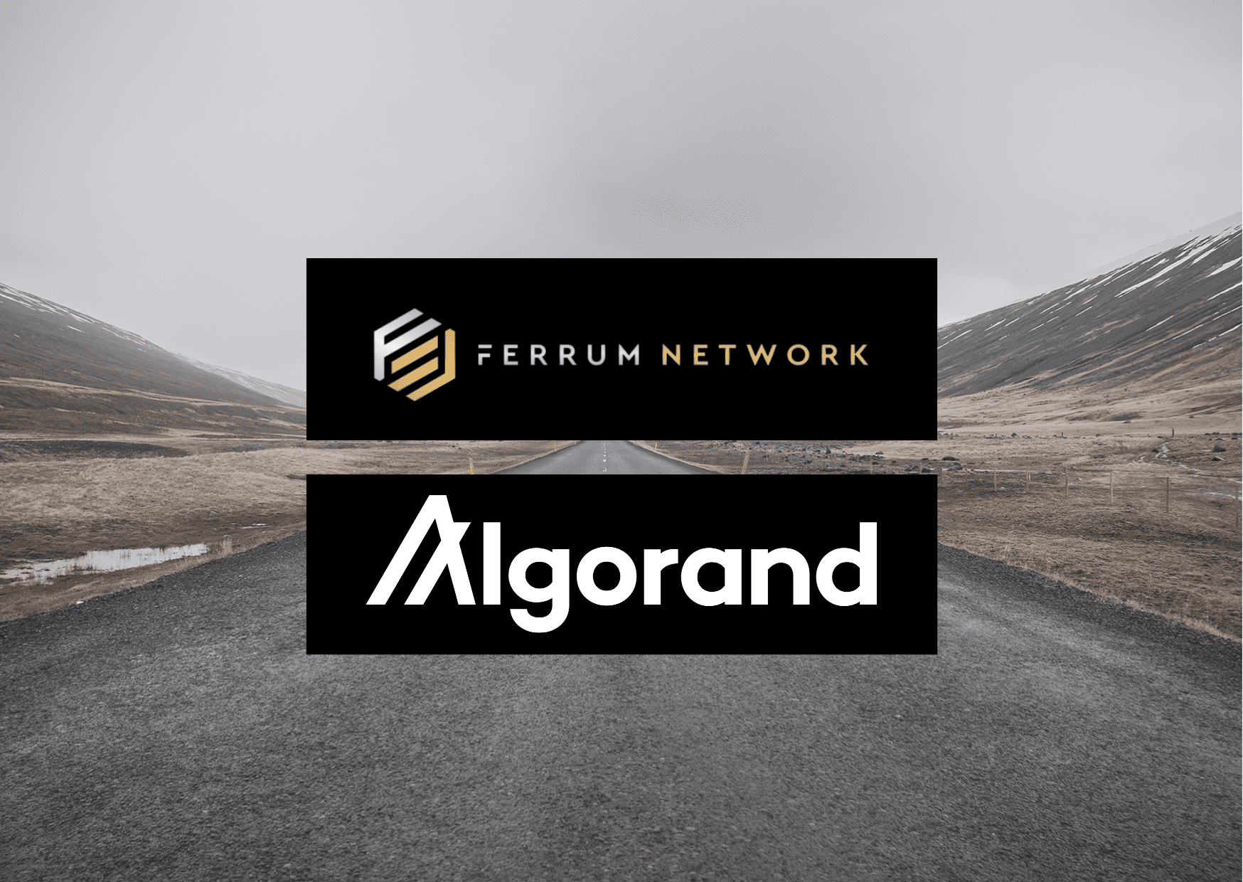 Algorand Price Prediction: A Deep Dive Into Why ALGO Continues to Drop Algorand Price Prediction: A Deep Dive Into Why ALGO Continues to Drop