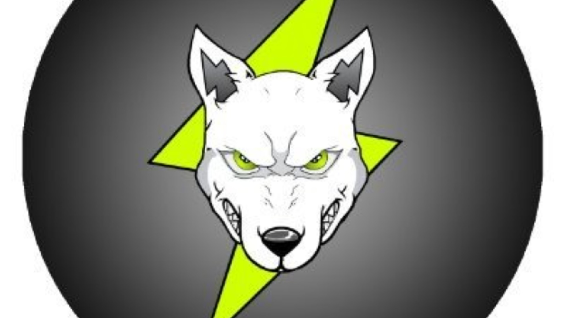 Volt Inu DEX Launches Widget to Help Projects Burn Token