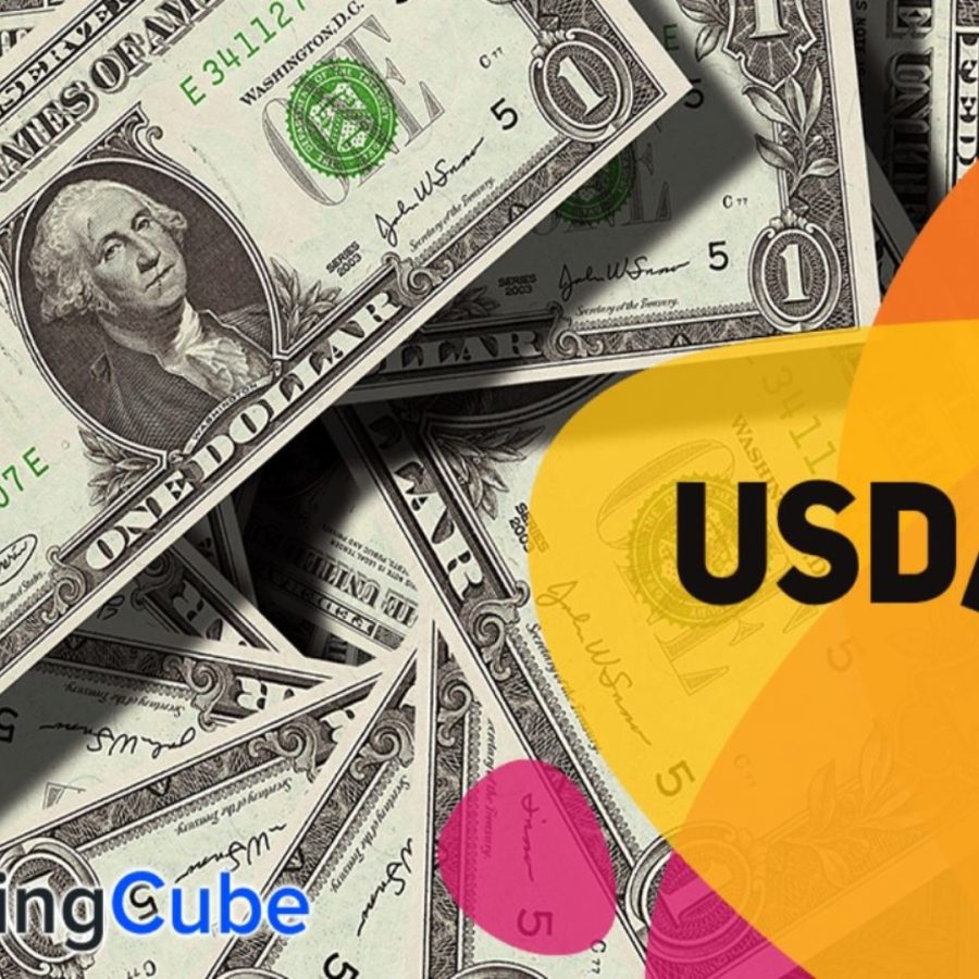 USD to INR Forecast for 2025, 2027, and 2030