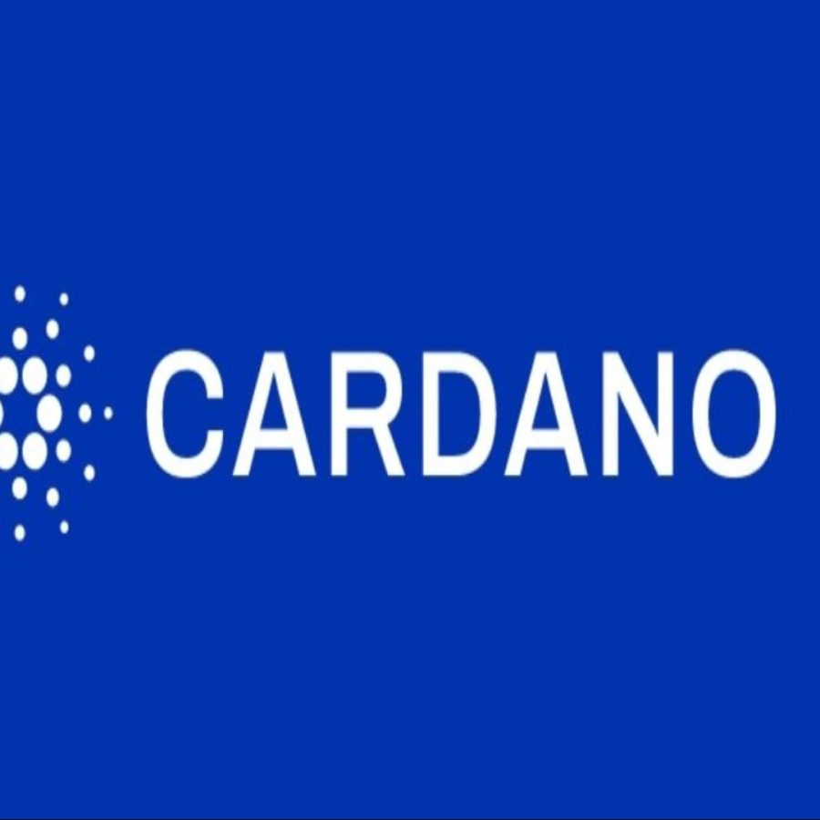 Cardano Price Plunge and Why It Could Get Worse Before It Gets Better