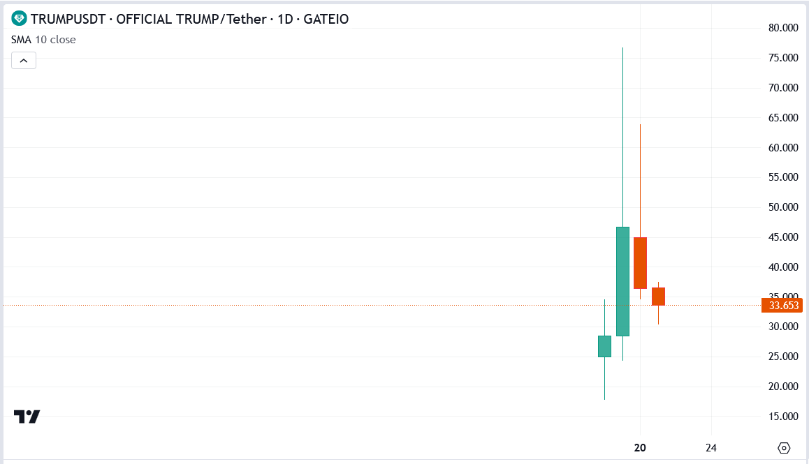 Trump Meme Coins Meteoric Rise And Fall What Investors Need To Know