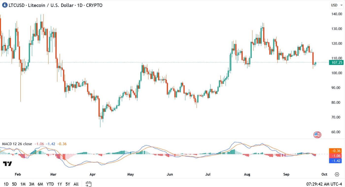 Litecoin Price Today: Holding Steady After a Sharp Dip